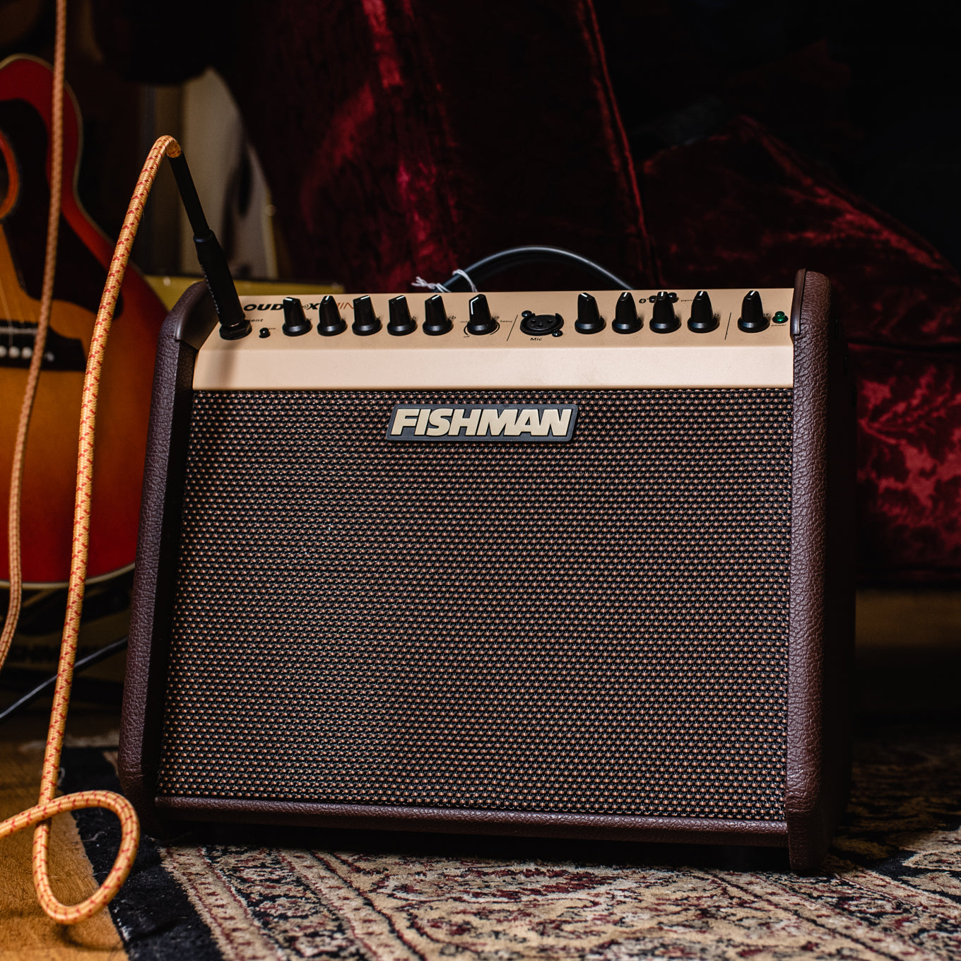 Amps - Acoustic Amps – Chicago Music Exchange