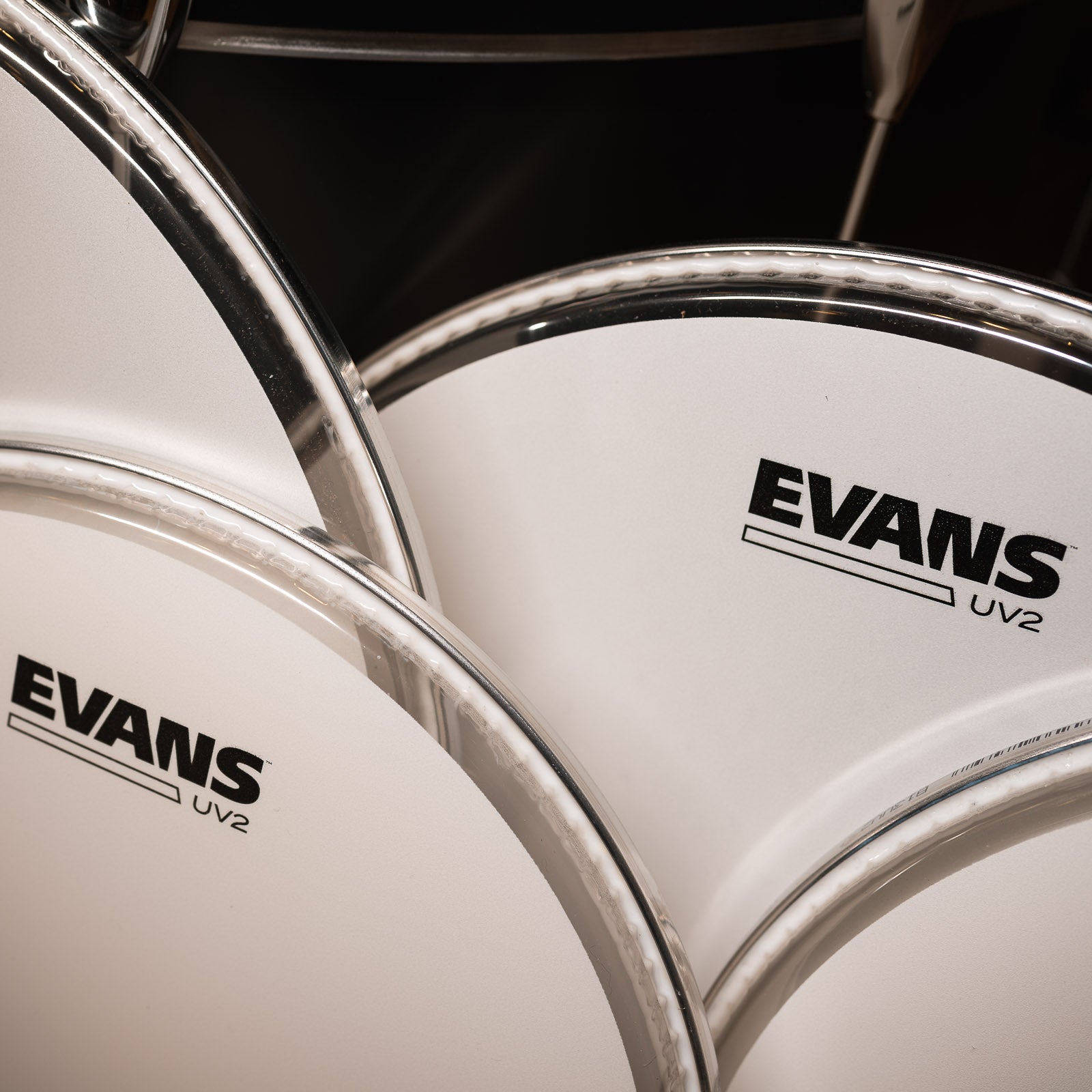 Evans – Chicago Music Exchange