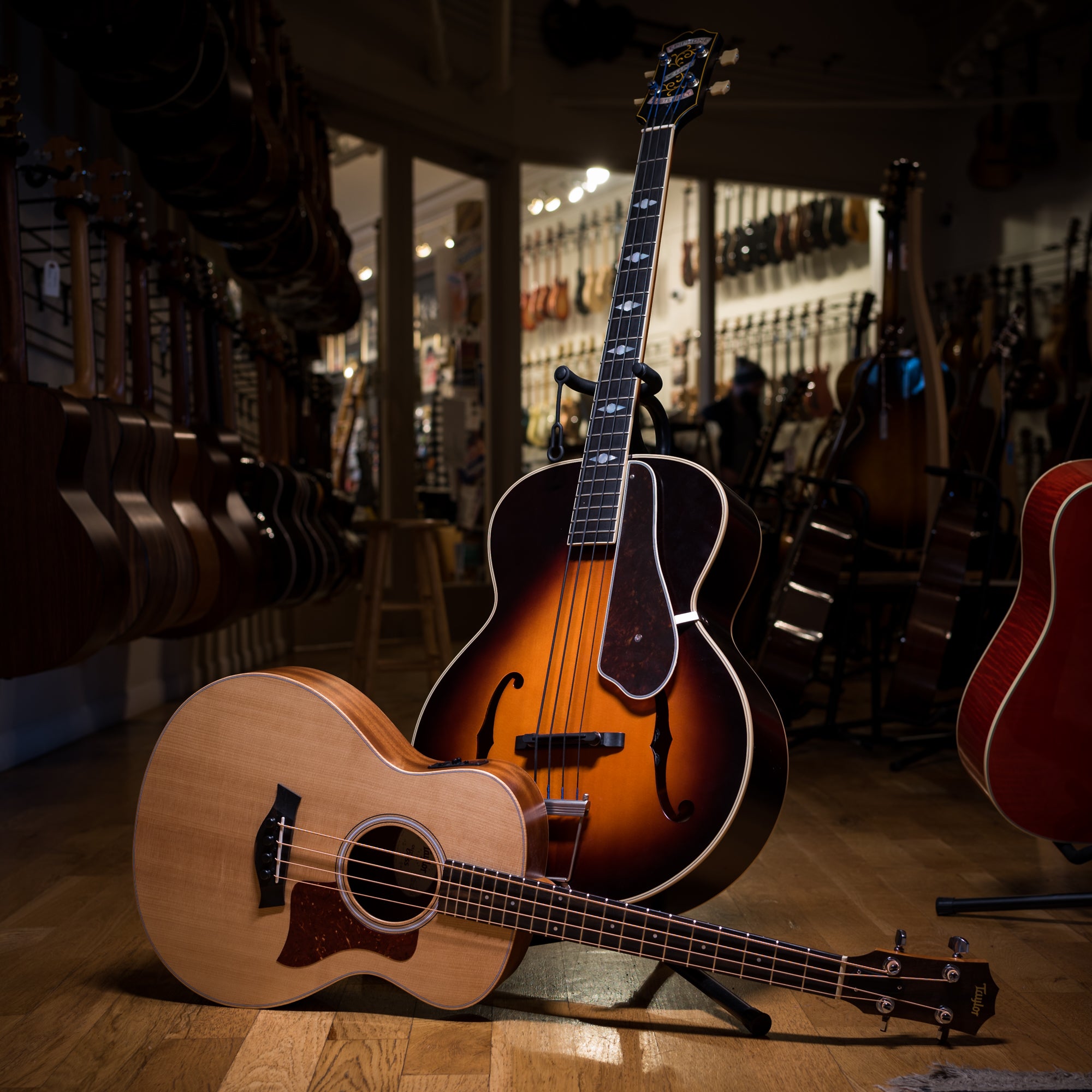 Acoustic Bass Guitars – Chicago Music Exchange