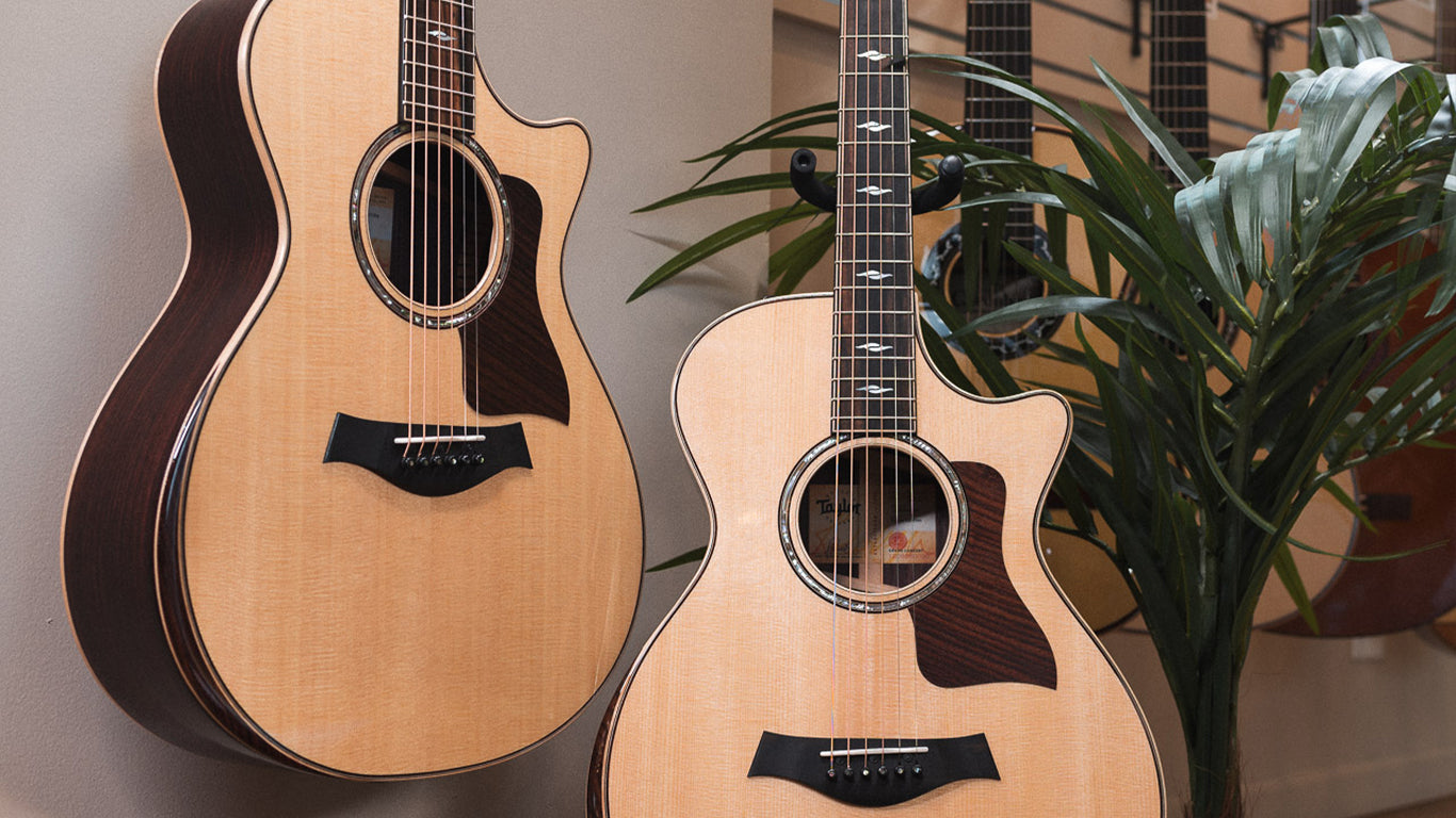 Taylor Guitars 800 Series – Chicago Music Exchange