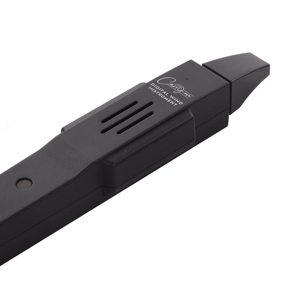 Carry On Digital Wind Instrument Black – Chicago Music Exchange