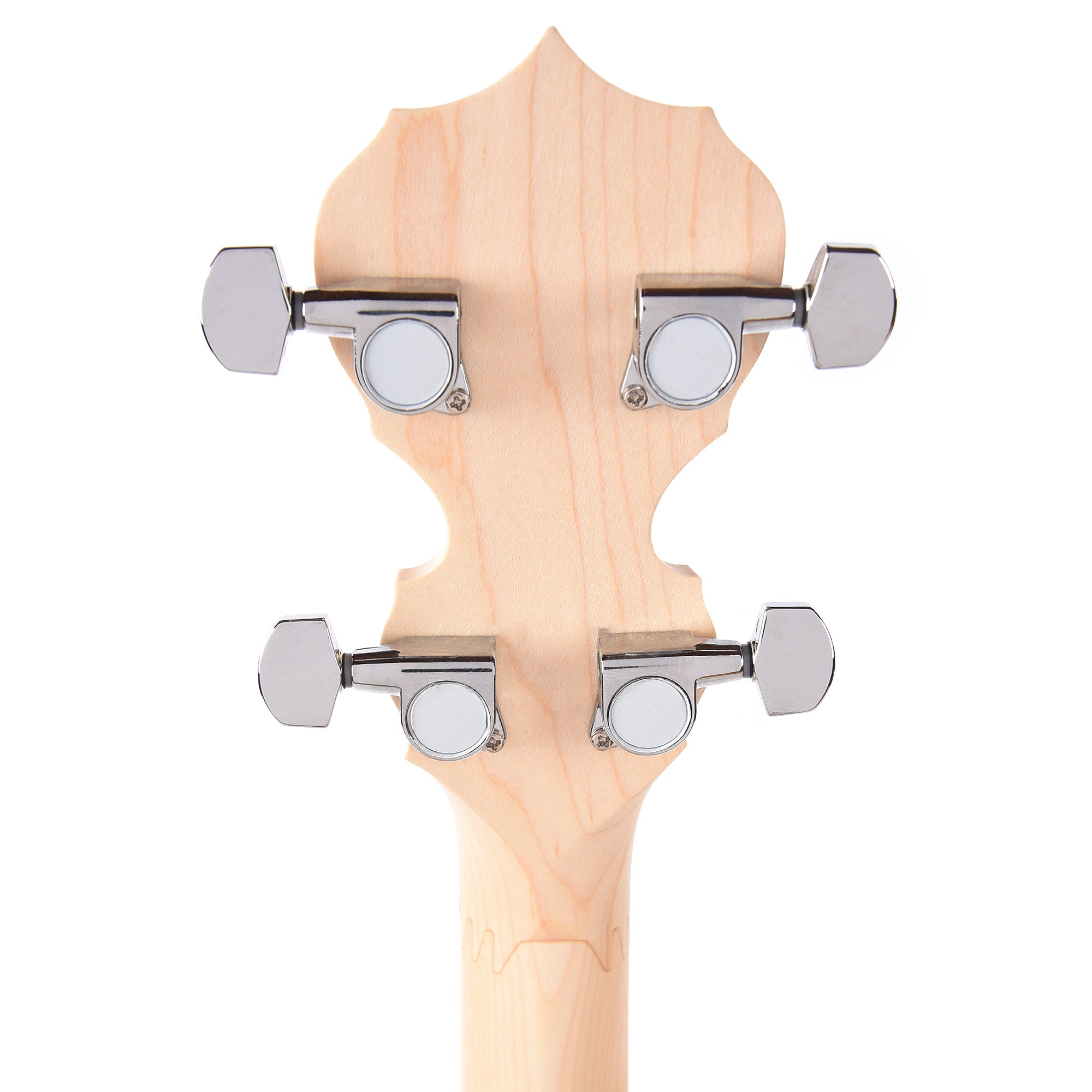 Deering Goodtime Special 5-String Banjo with Resonator Blonde – Chicago ...