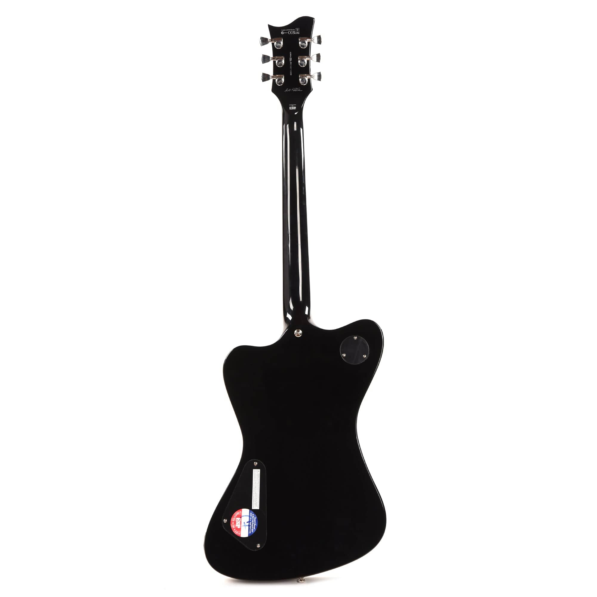 ESP LTD Sparrowhawk Bill Kelliher Vintage Silver Sunburst – Chicago ...