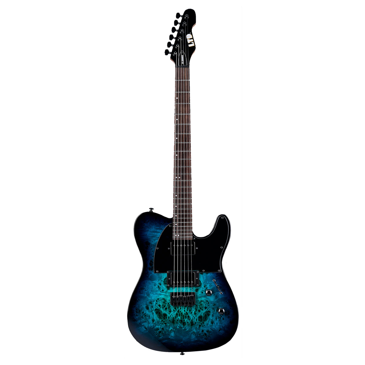 ESP LTD TE-200DX Electric Guitar Blue Burst – Chicago Music Exchange
