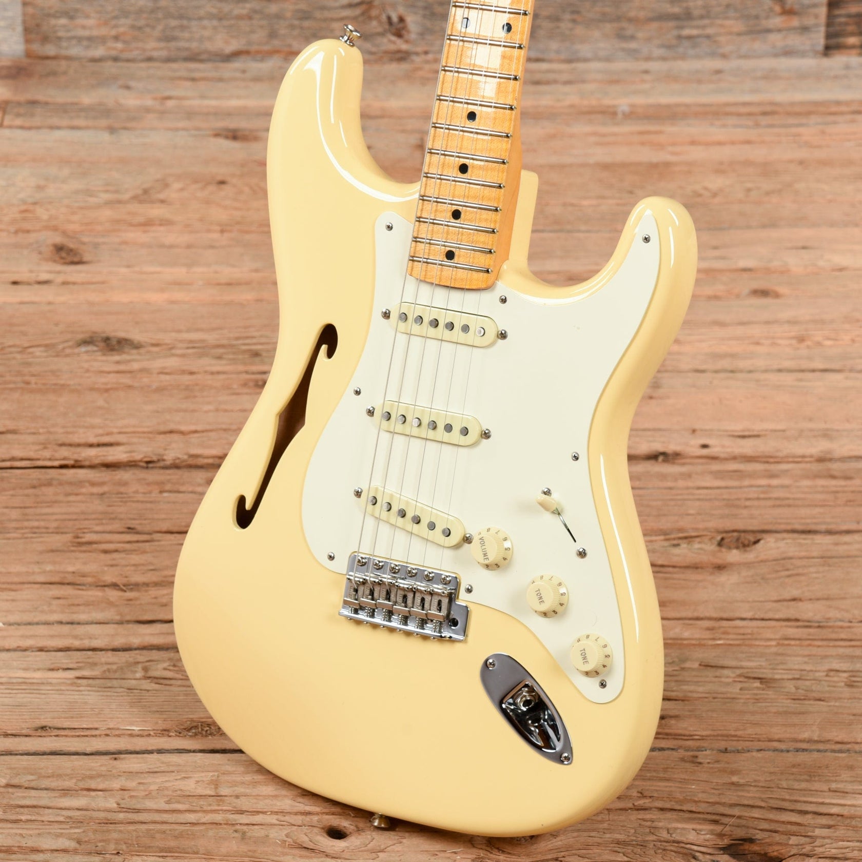 Fender Eric Johnson Thinline Stratocaster Vintage Blonde – Chicago ...