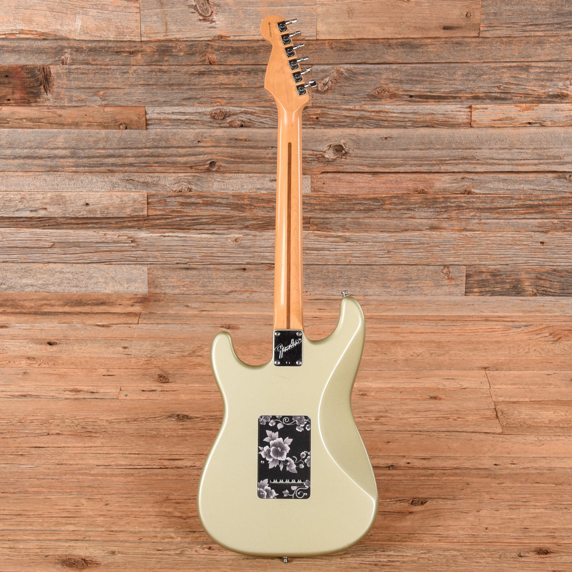 Fender U.S. Lone Star Stratocaster Neck with Unknown Fender Body Pewte ...