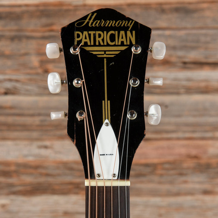 Harmony Patrician Archtop Natural 1950s – Chicago Music Exchange