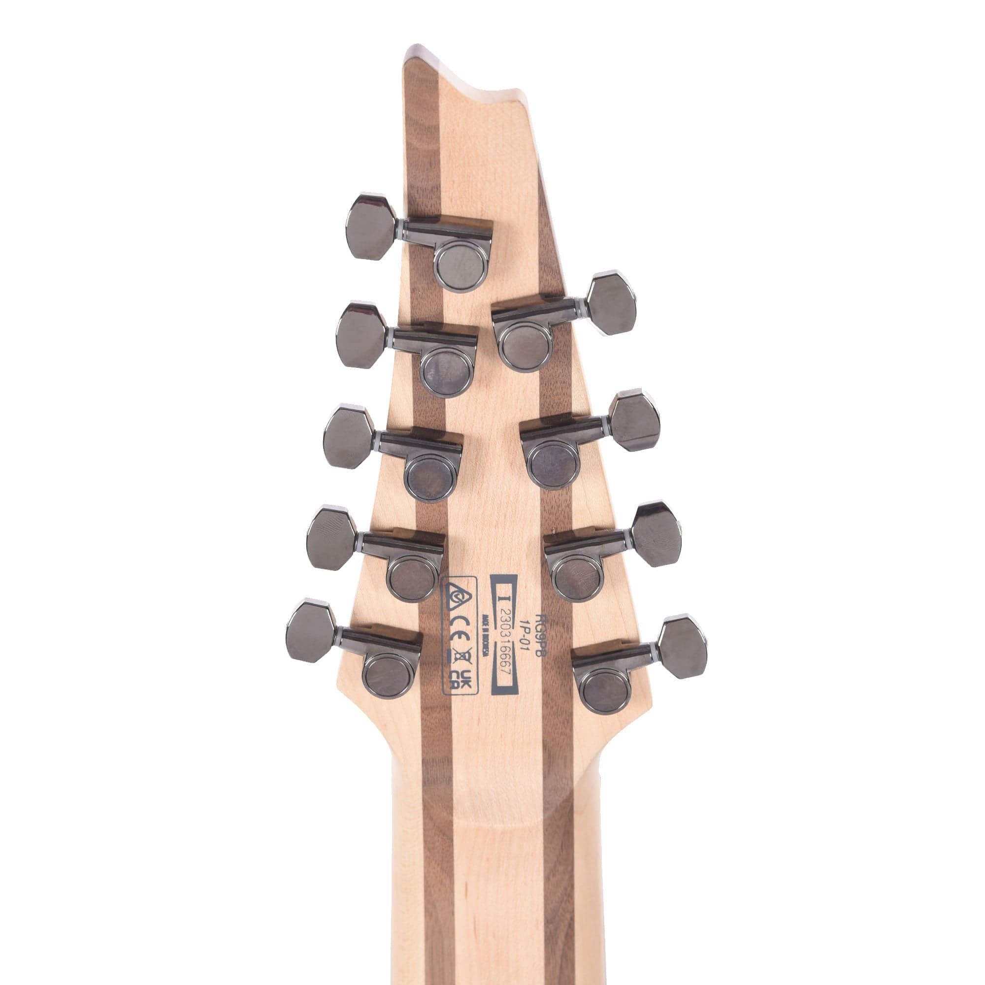 Ibanez RG9PBTGF Axe Design Lab 9-String Electric Guitar Transparent Gr ...
