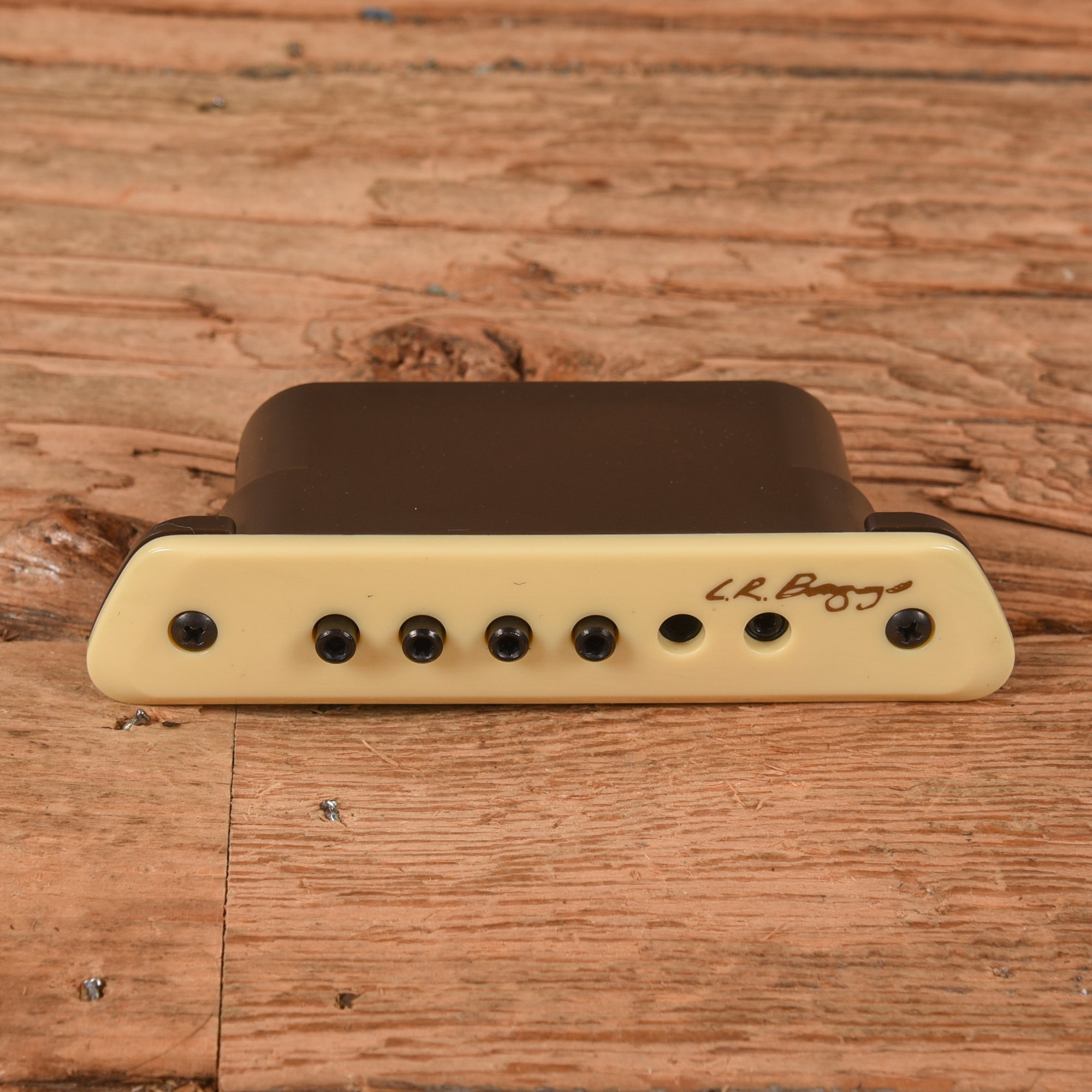 LR Baggs M1 Passive Soundhole Pickup – Chicago Music Exchange