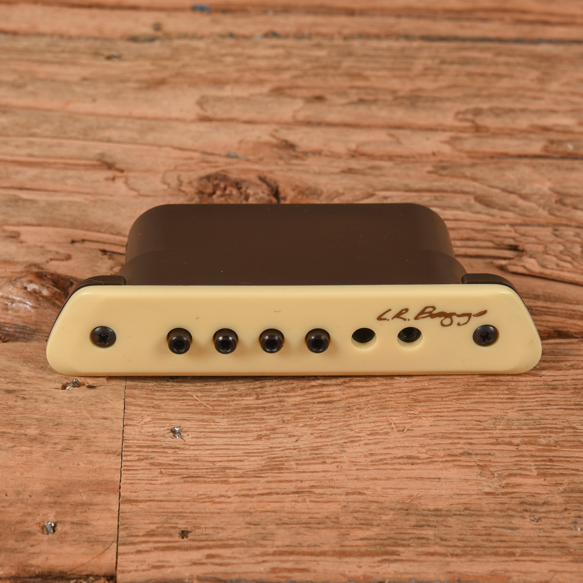 LR Baggs M1 Passive Soundhole Pickup – Chicago Music Exchange