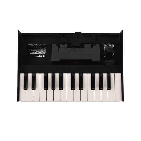Roland Boutique K-25m Portable Keyboard – Chicago Music Exchange
