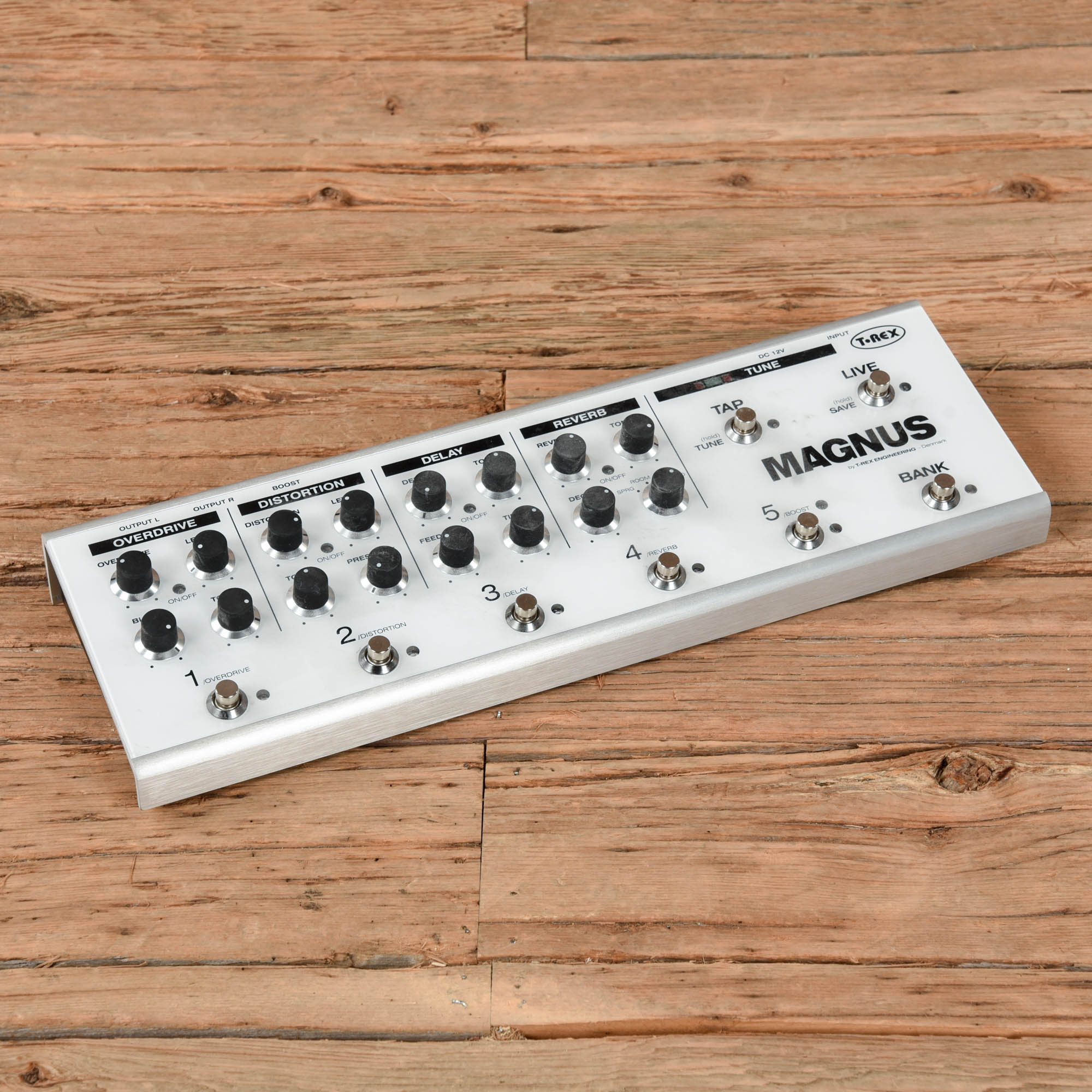 T Rex Magnus – Chicago Music Exchange