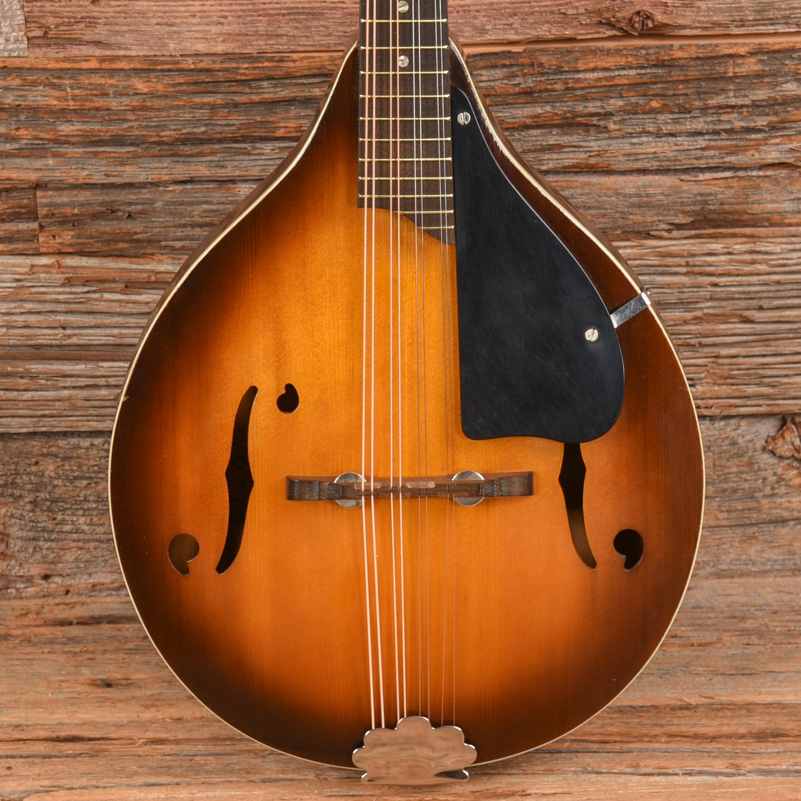 Continental Mandolin 1960s – Chicago Music Exchange