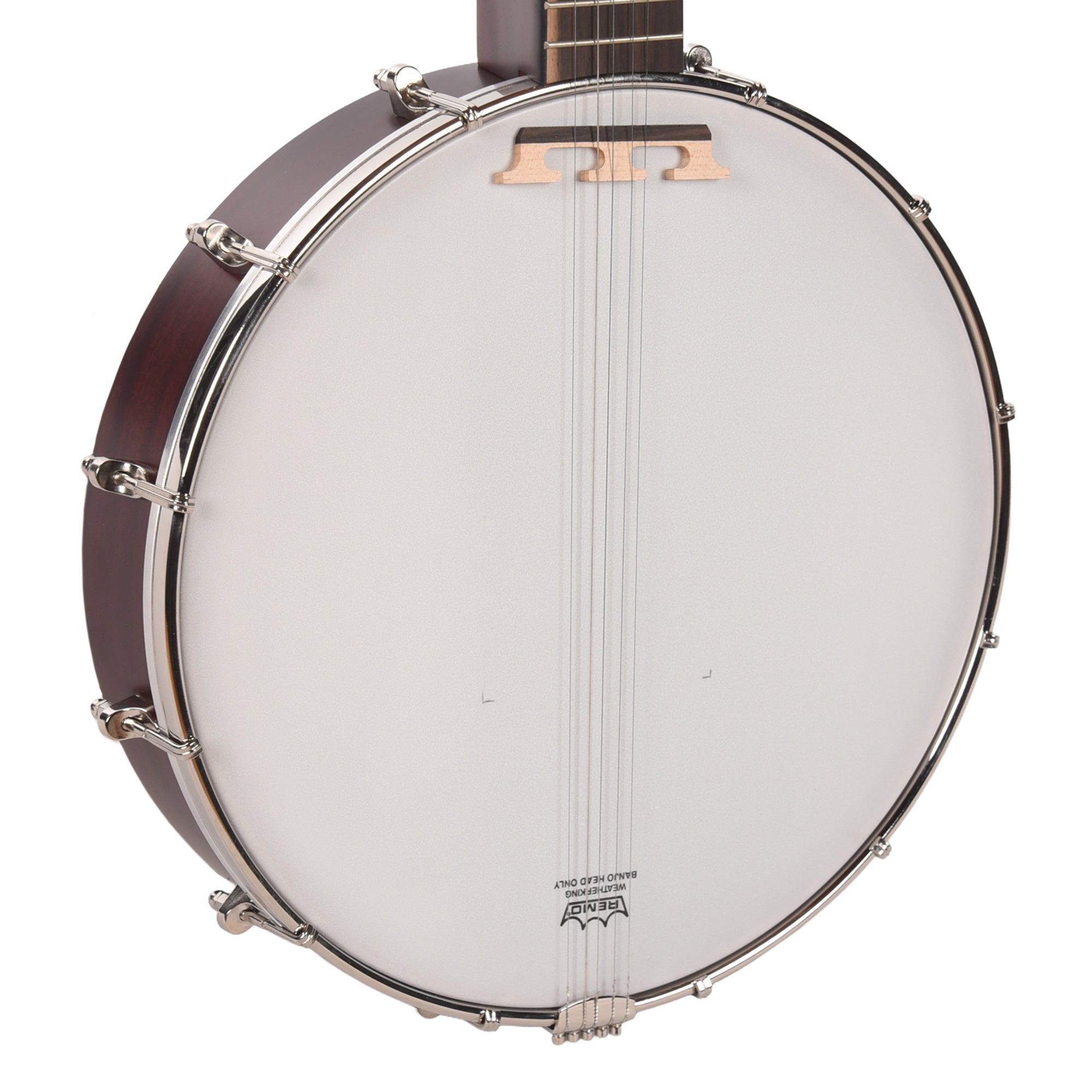 Recording King Dirty 30s Open Back Banjo – Chicago Music Exchange