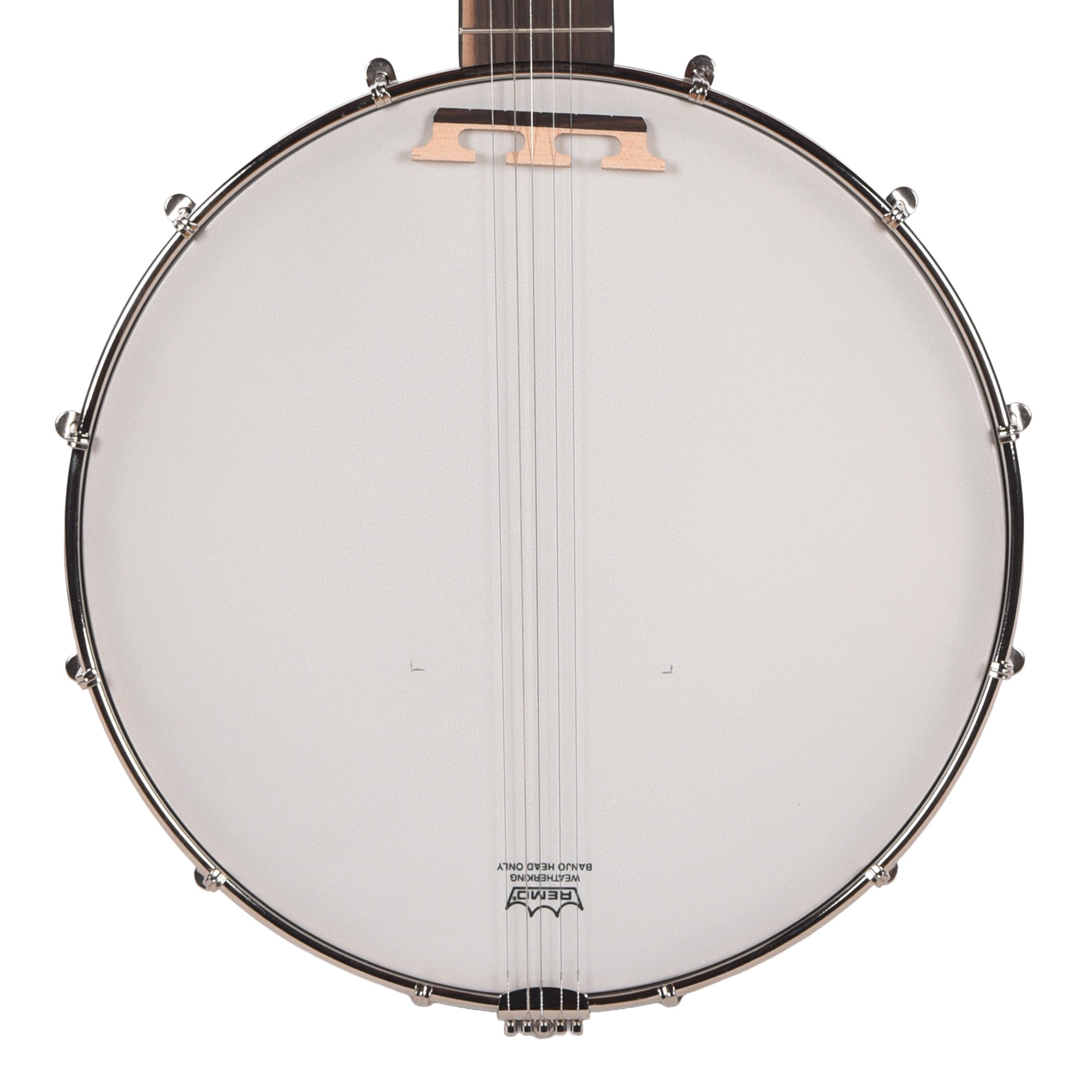 Recording King Dirty 30s Open Back Banjo – Chicago Music Exchange