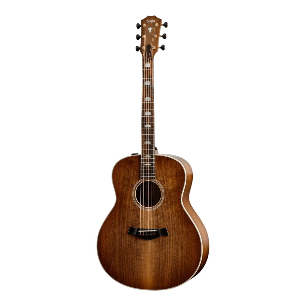 Taylor Custom Guitars At CME – Page 2 – Chicago Music Exchange