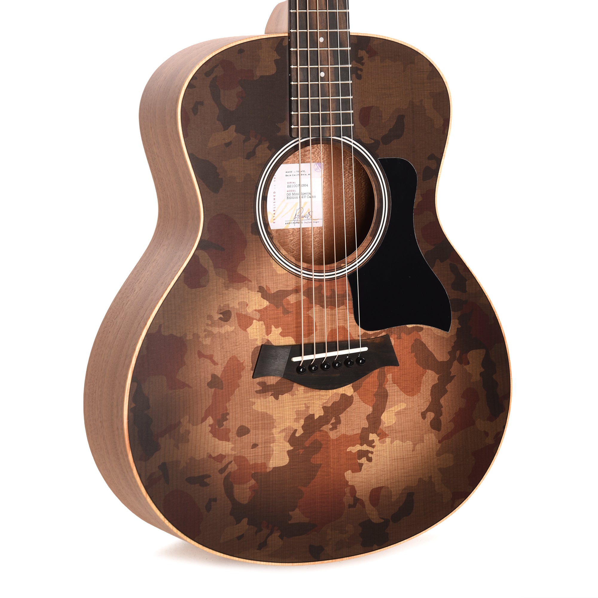 Taylor Special Edition Guitars 4 Vets GS Mini Torrefied Spruce/Sapele ...