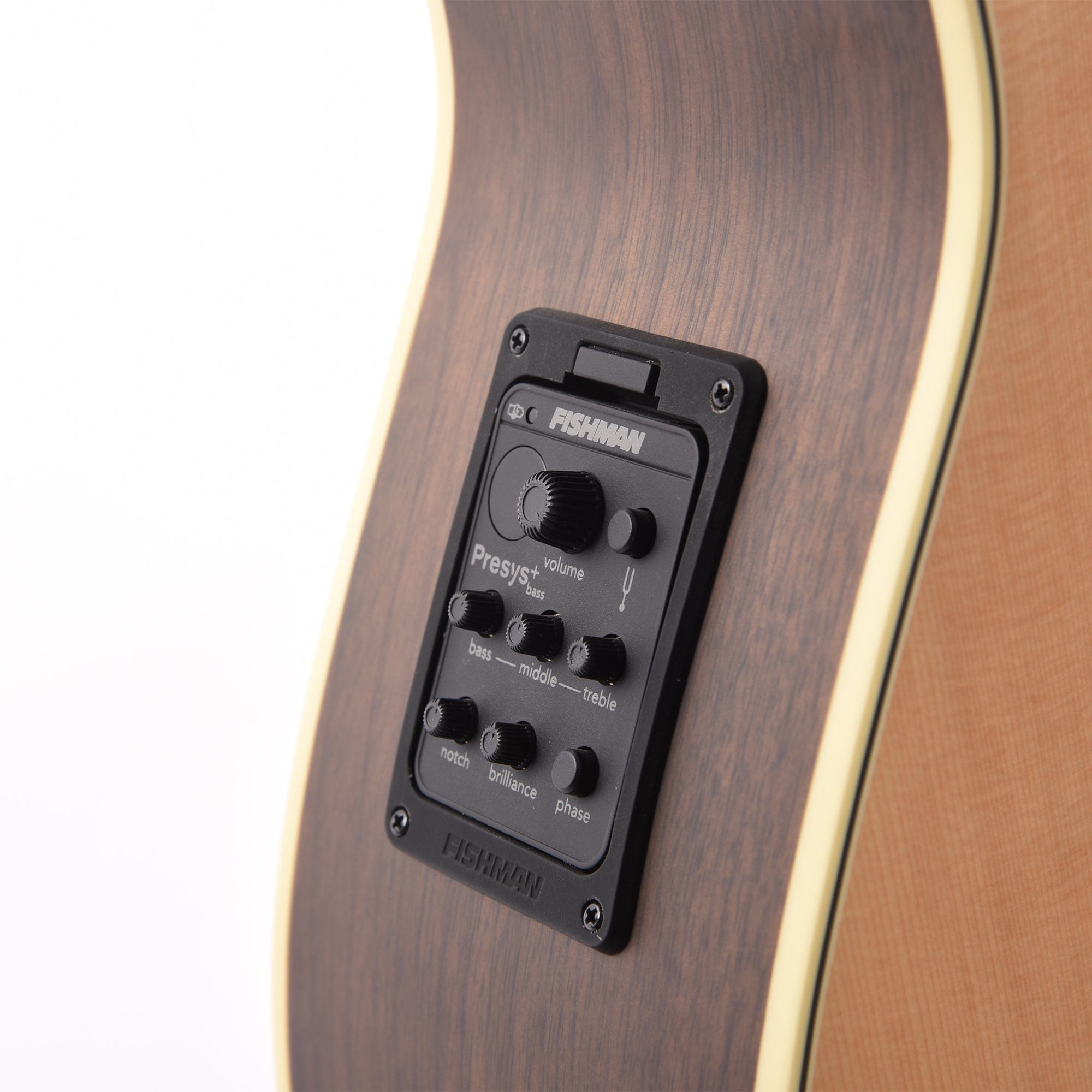 Inside: Warwick Bass Workshop Q&A with Peter-Hans Wilfer – Chicago ...