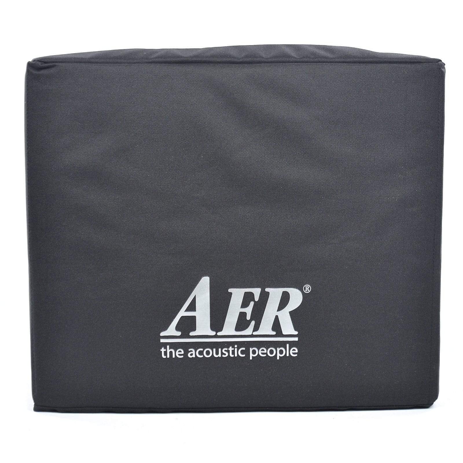 AER Domino-2A 100W 2x8 Acoustic Guitar Combo Amp Black – Chicago Music ...