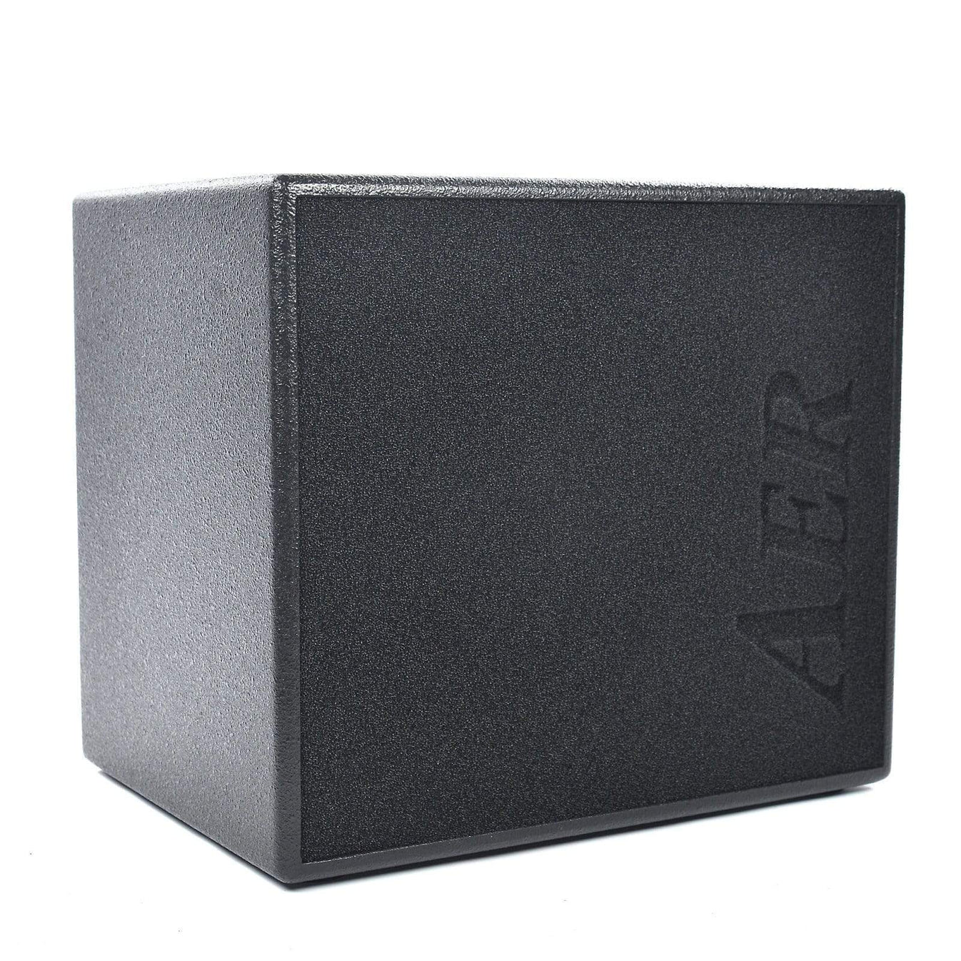 AER Domino-2A 100W 2x8 Acoustic Guitar Combo Amp Black – Chicago Music ...