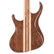 Alembic Europa 5-String Long-Scale w/Red Side LEDs, Birds Eye Maple Fi ...
