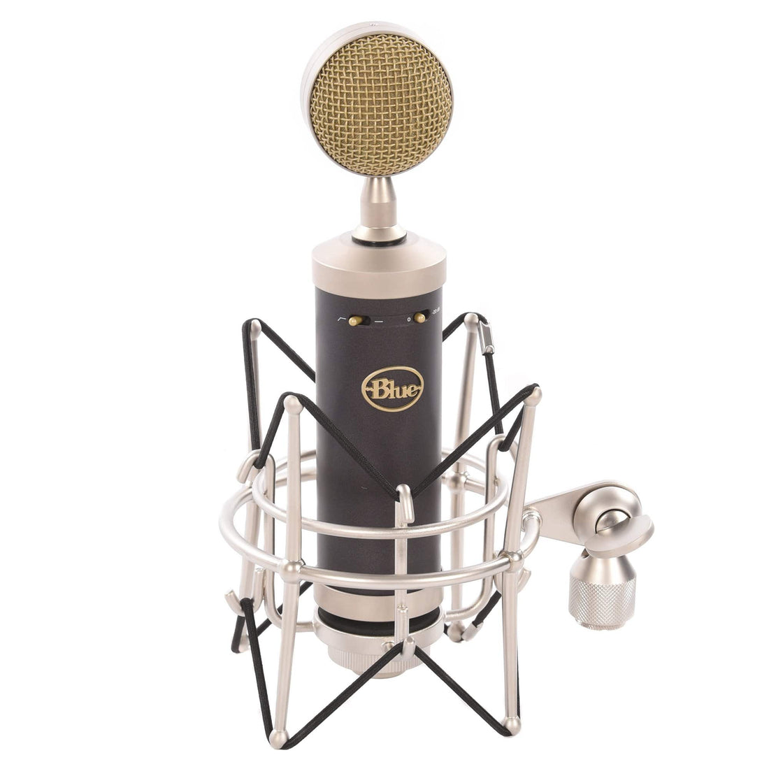 Blue Baby Bottle SL Large-Diaphragm Studio Condenser Microphone ...