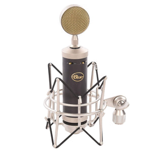 Blue Baby Bottle Mic
