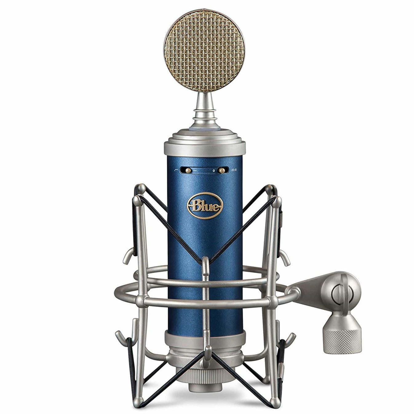 Blue Bluebird SL Large Diaphragm Studio Condenser Microphone – Chicago ...