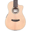 Cordoba Mini II EB-CE Spruce/Striped Ebony w/Pickup & On-Board Tuner ...