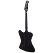 Epiphone Limited Edition Slash Firebird Trans Black – Chicago Music ...