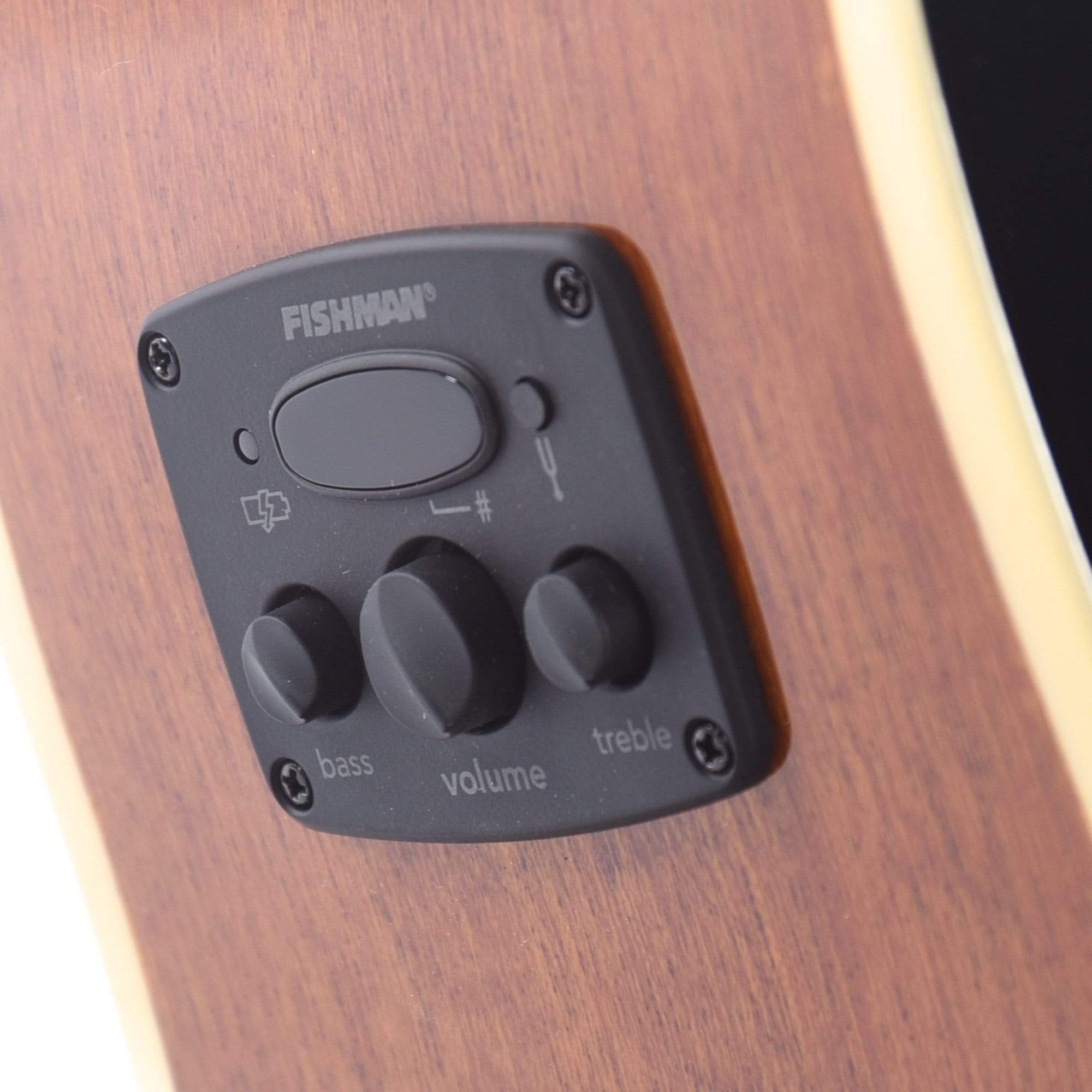 Fender Acoustic FA-450CE Acoustic Bass 3-Color Sunburst – Chicago Music ...