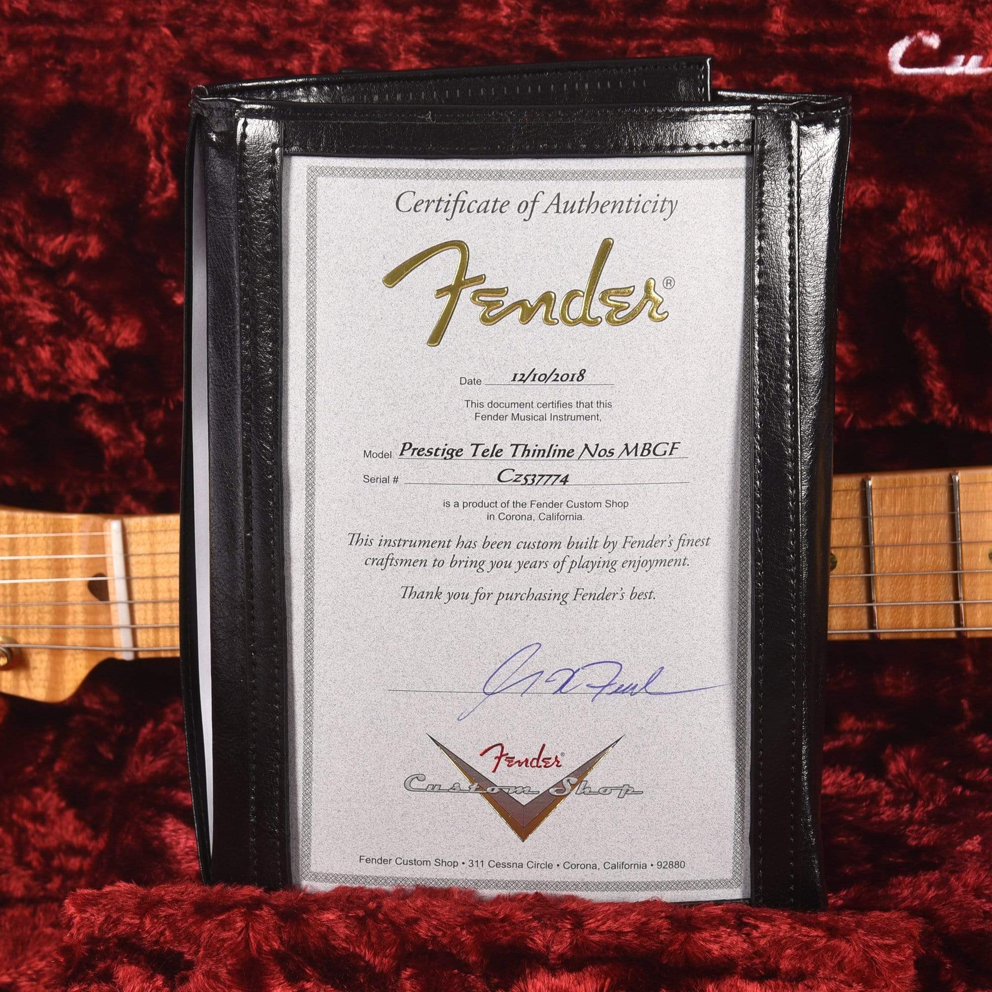 Fender Custom Shop Prestige Telecaster Thinline NOS Natural Master Bui ...