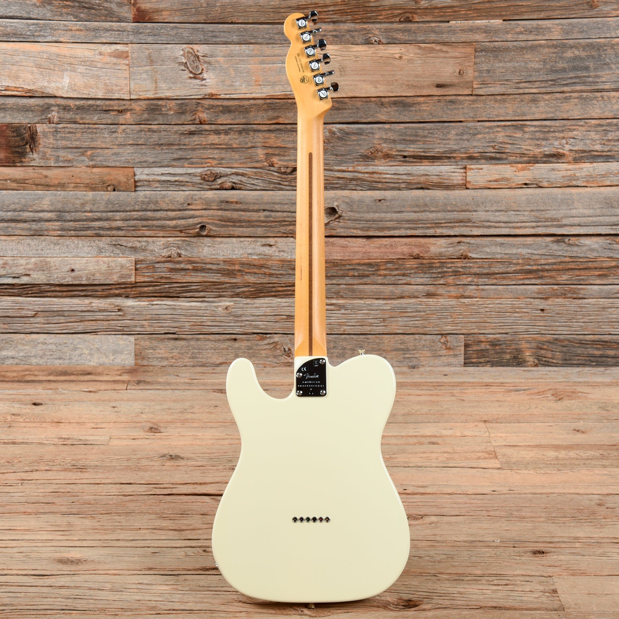 Fender American Pro II Telecaster Olympic White 2021 – Chicago Music ...
