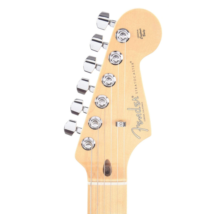 Fender American Professional II Stratocaster Roasted Pine – Chicago ...