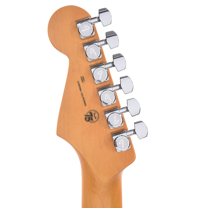 Fender American Ultra Stratocaster Quicksilver w/Ebony Fingerboard & A ...