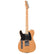 Fender Player Telecaster LEFTY Butterscotch Blonde – Chicago Music Exchange