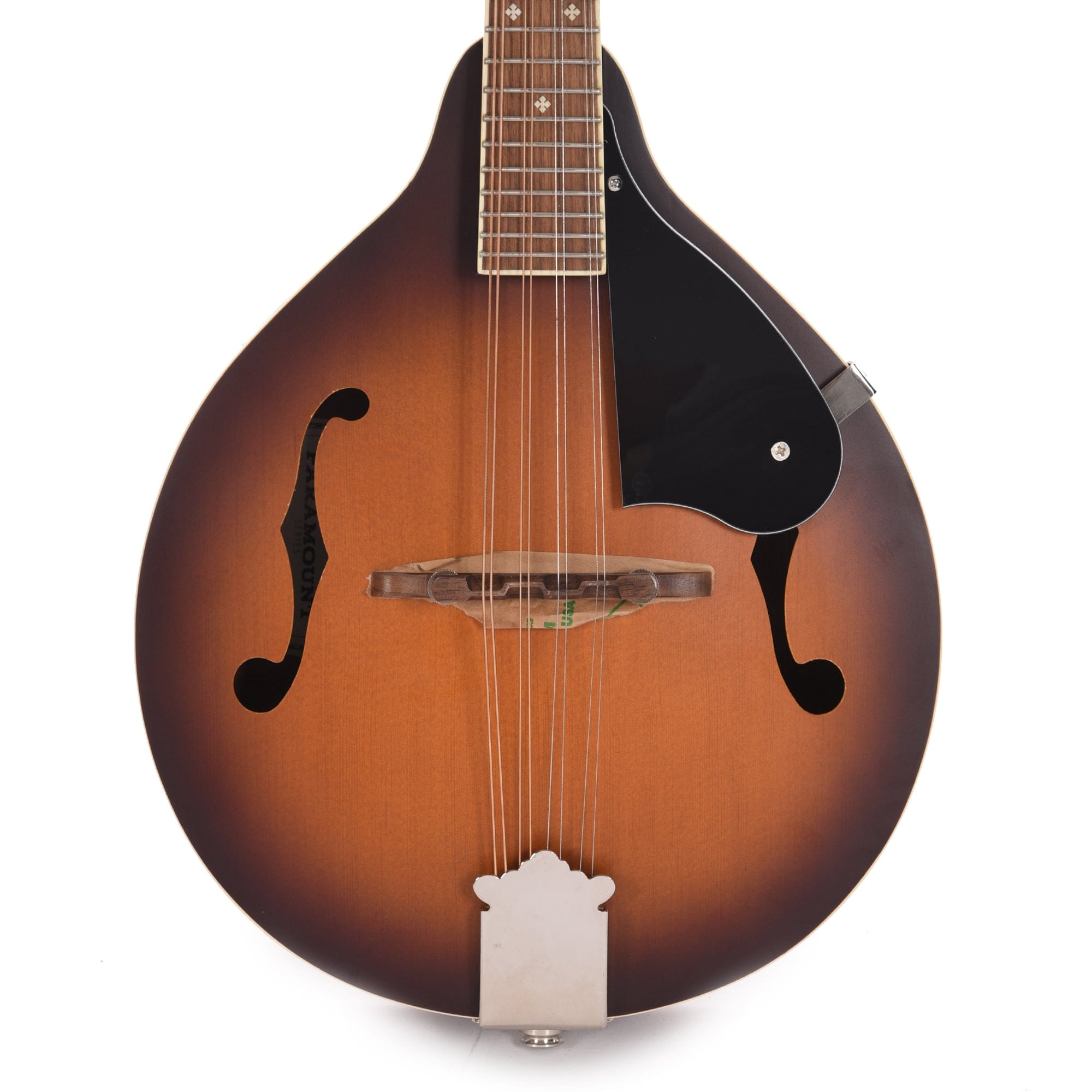 Fender Paramount PM-180E Mandolin Aged Cognac Burst – Chicago Music ...