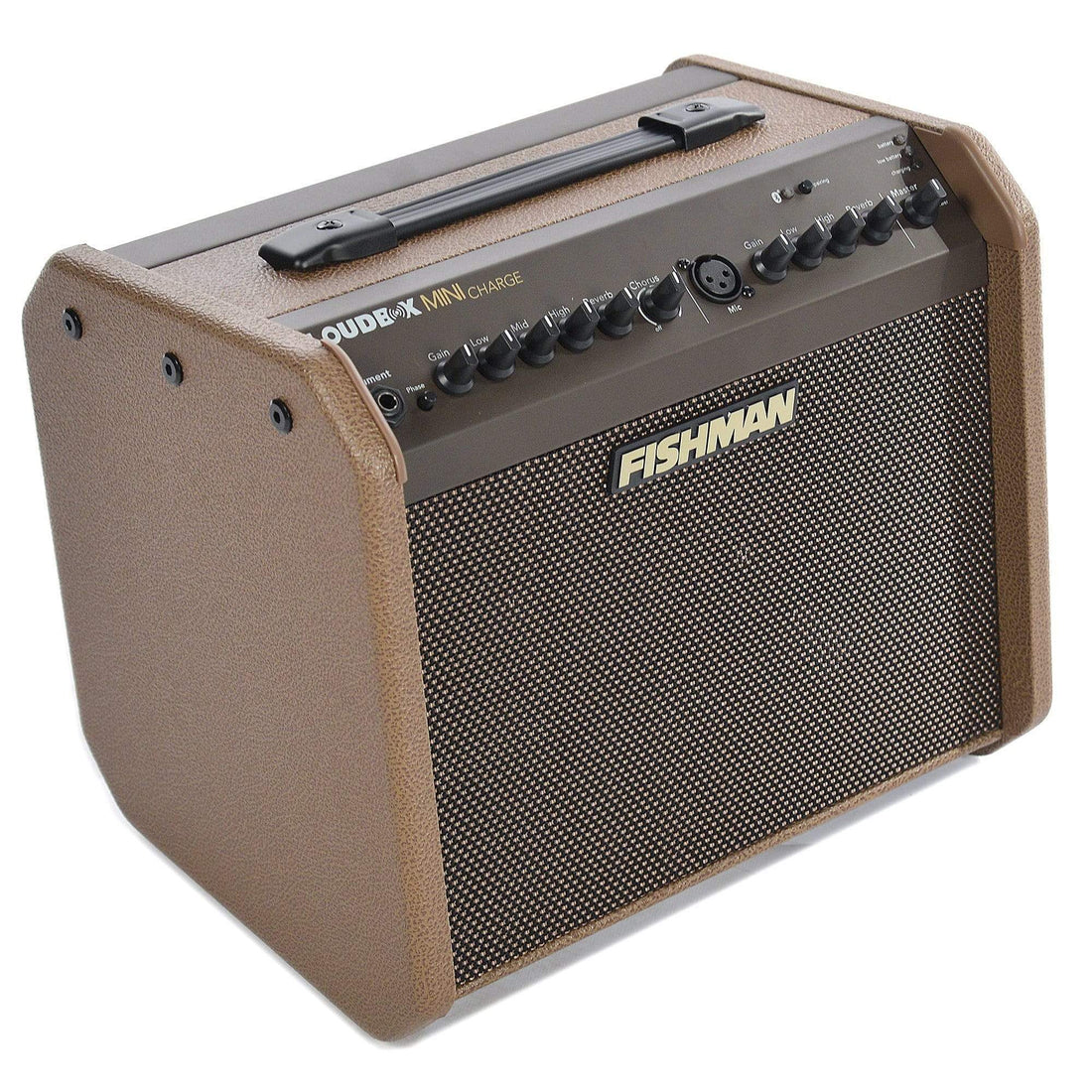Fishman Loudbox Mini Charge 60 Watt Rechargeable Battery-Powered Acous ...