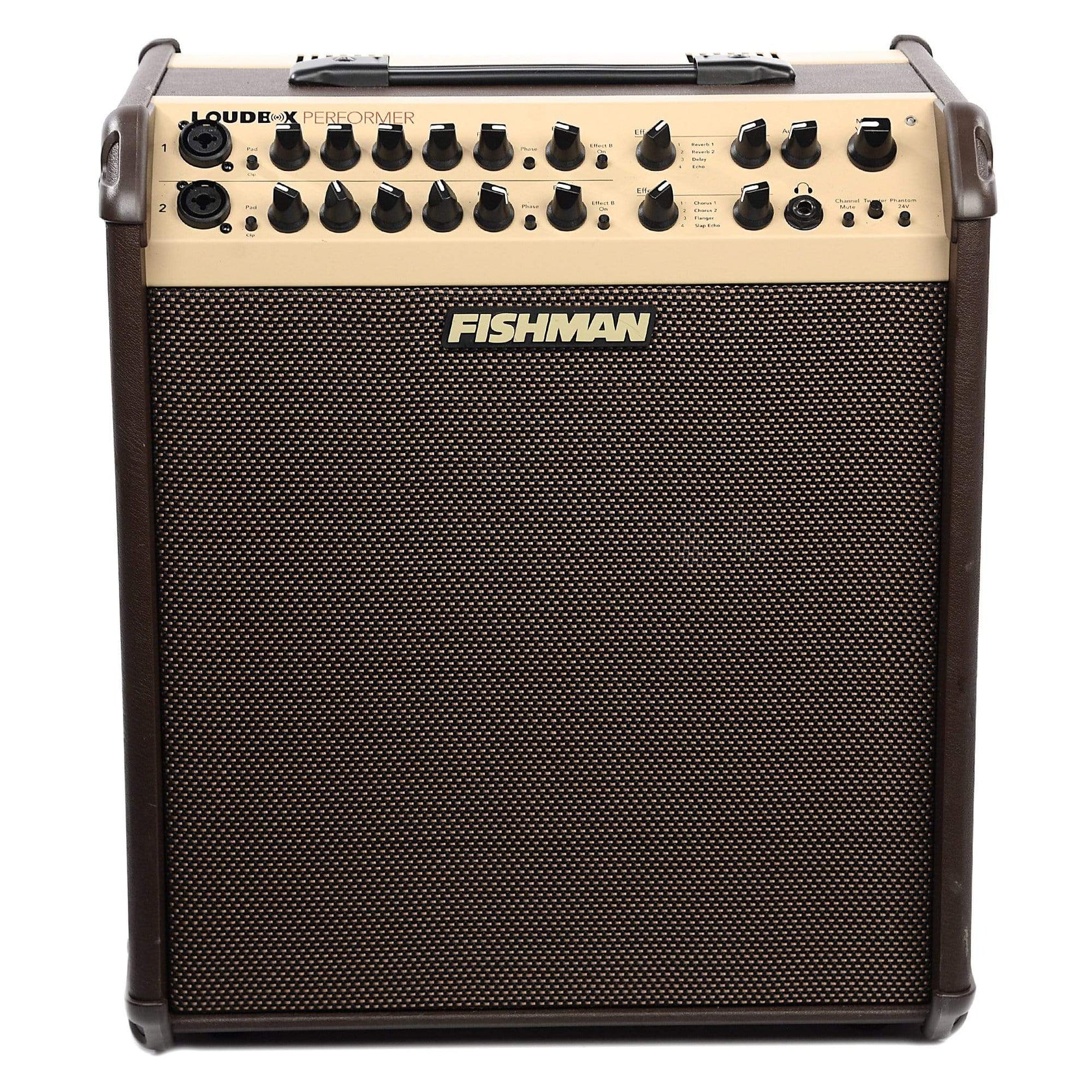 Fishman Loudbox Performer Acoustic Guitar Amplifier and Fishman Loudbo ...