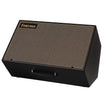 Friedman ASM-12 Active Stage Monitor – Chicago Music Exchange