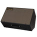 Friedman ASM-12 Active Stage Monitor – Chicago Music Exchange