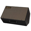 Friedman ASM-12 Active Stage Monitor – Chicago Music Exchange