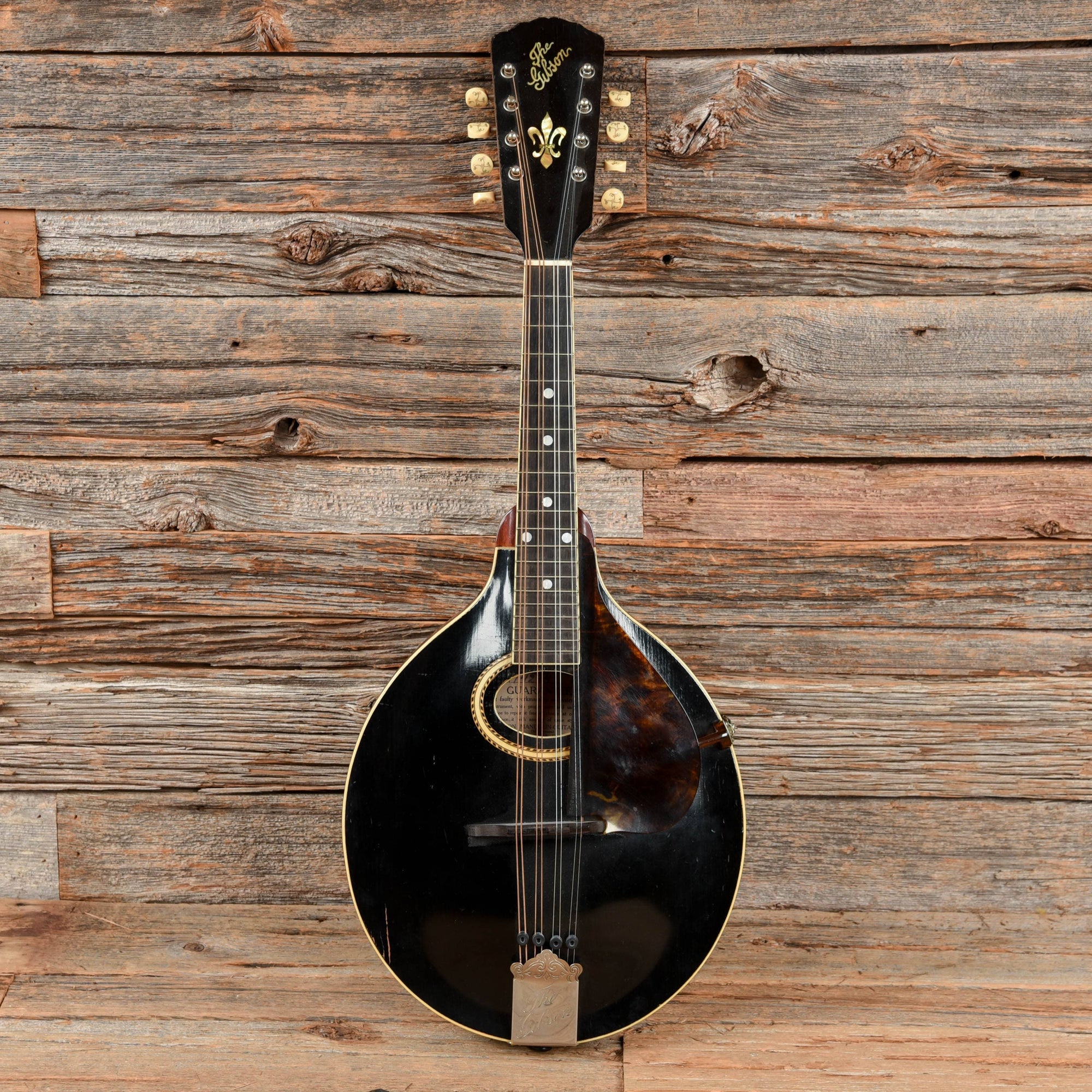 Gibson A-4 Mandolin Black 1913 – Chicago Music Exchange