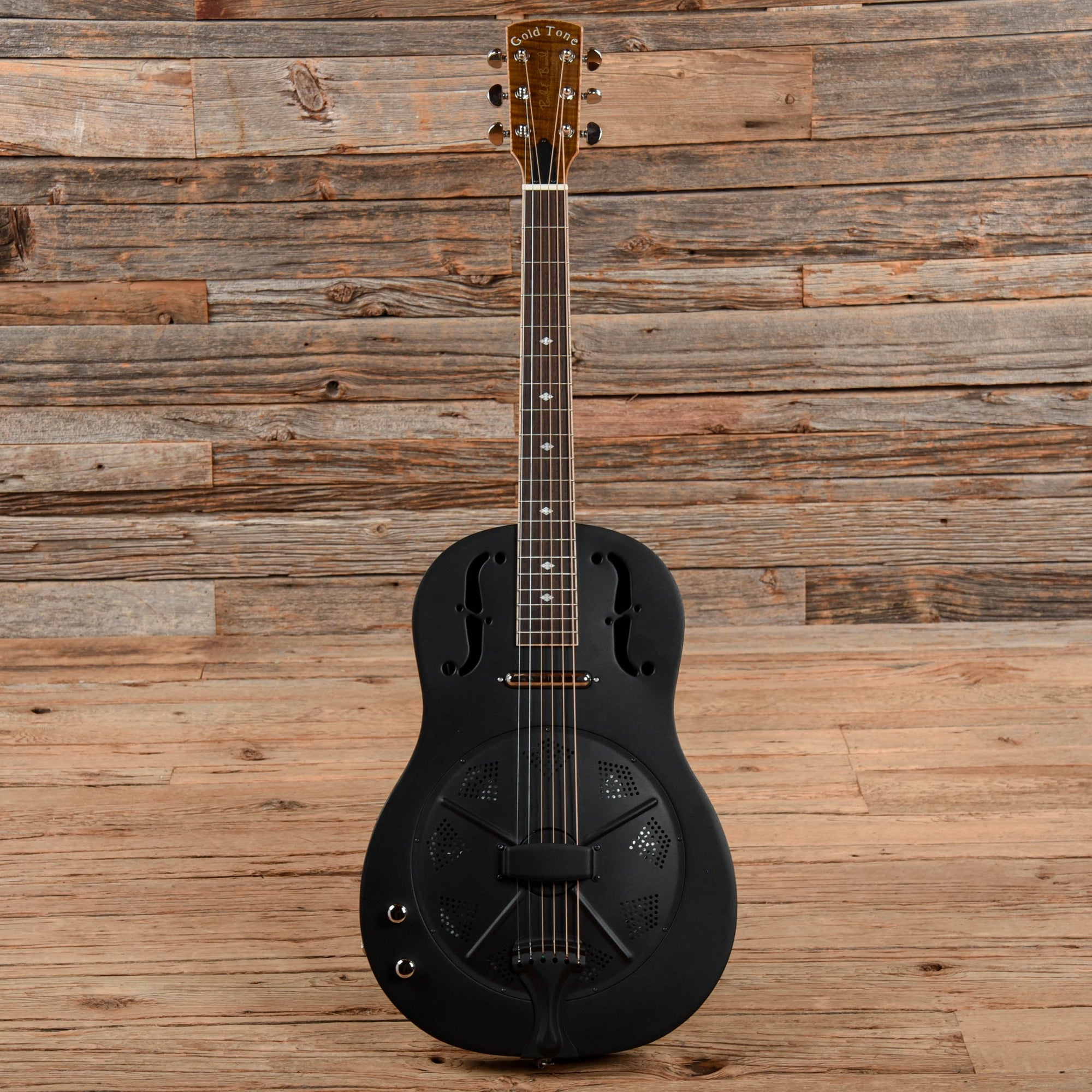 Gold Tone GRE Paul Beard Metal Body Thinline Resonator w/ Electronics ...