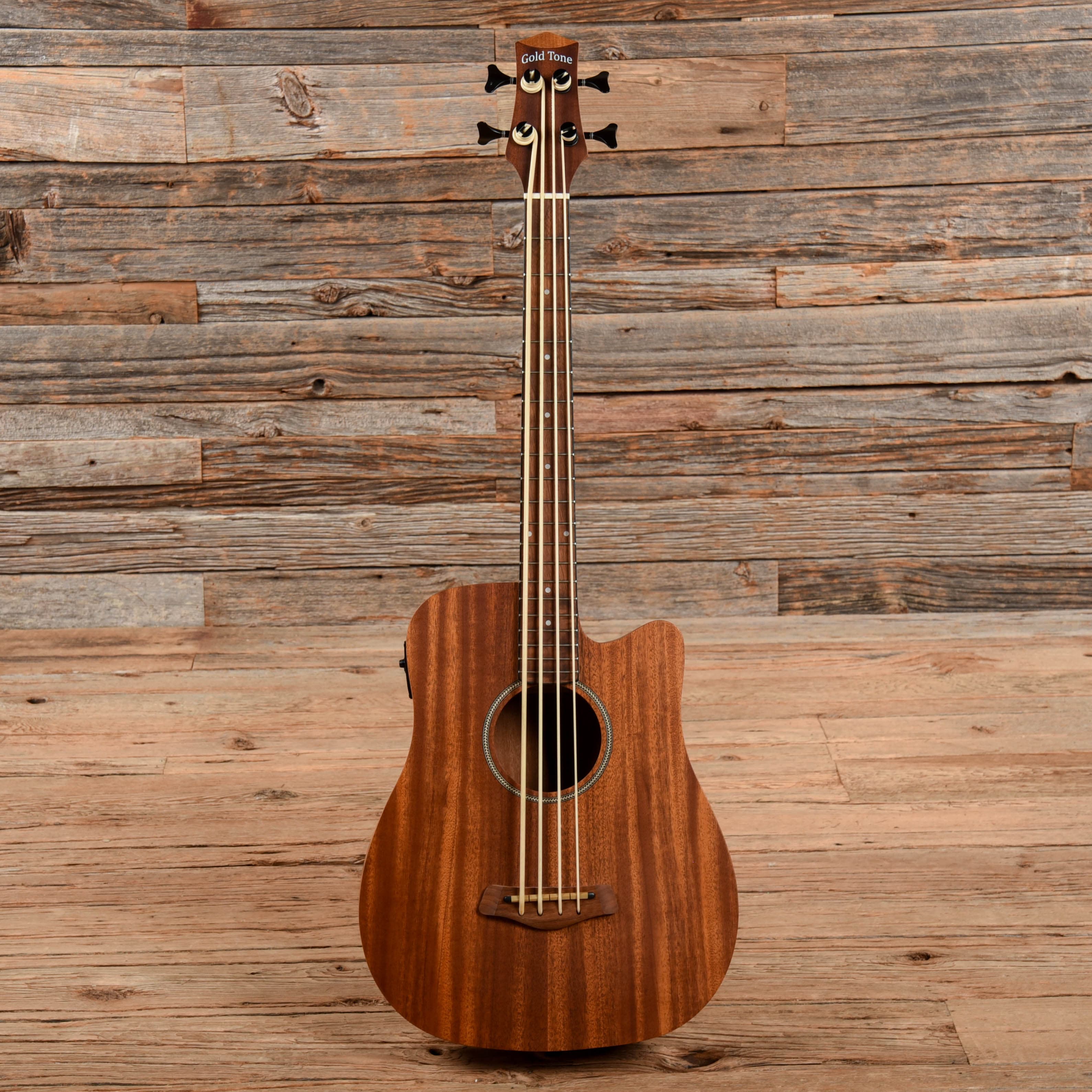 Gold Tone M-Bass25 Micro 25" Scale Acoustic/Electric Bass Natural ...