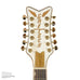 Gretsch G5022CWFE-12 Rancher Falcon Jumbo 12-String Cutaway Fishman Is ...
