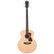 Guild Westerly B-240EF Fretless Acoustic Electric Bass – Chicago Music ...
