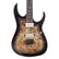 Ibanez RG1121PB Premium Charcoal Black Burst – Chicago Music Exchange