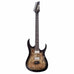 Ibanez RG1121PB Premium Charcoal Black Burst – Chicago Music Exchange