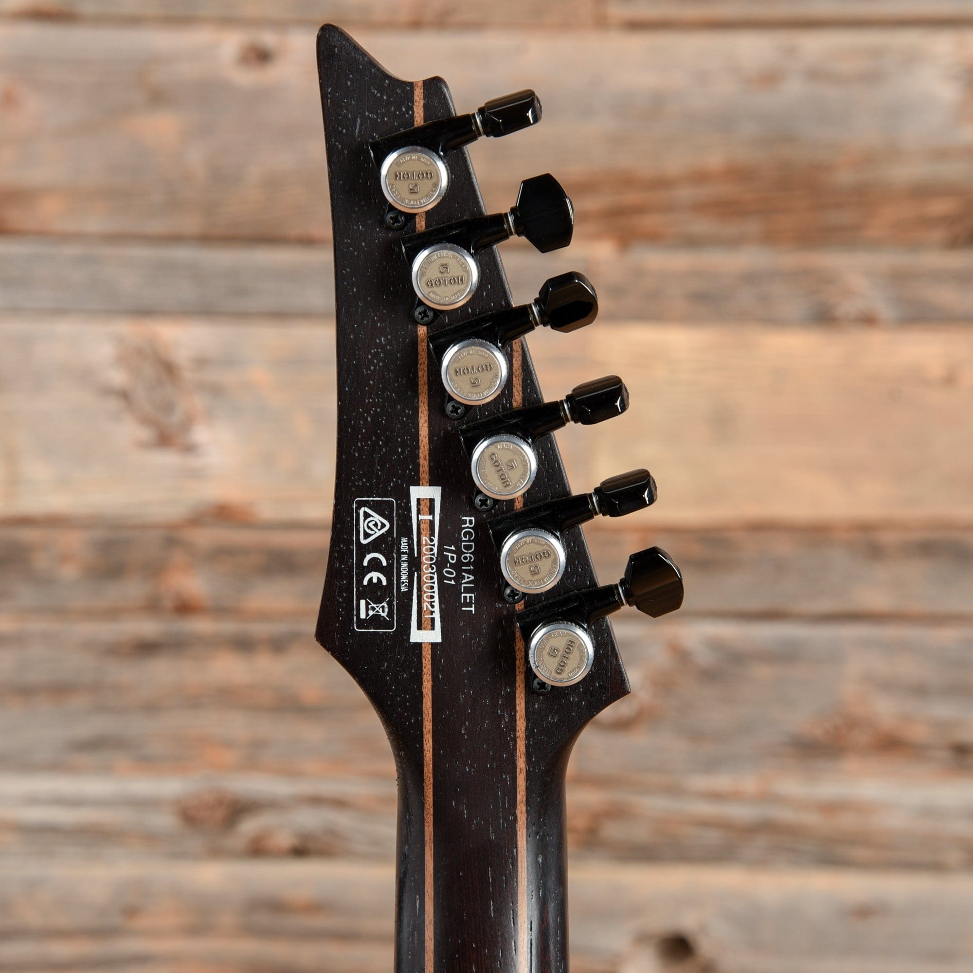 Ibanez RGD61ALET-MGM Axion Label Metallic Gray Matte – Chicago Music ...